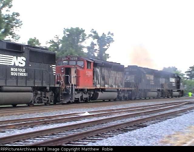 CN 52989/NS 213